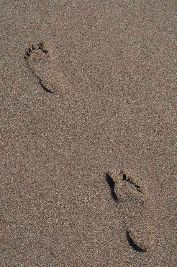 footprints-in-sand_-600p - thewineshack.wine